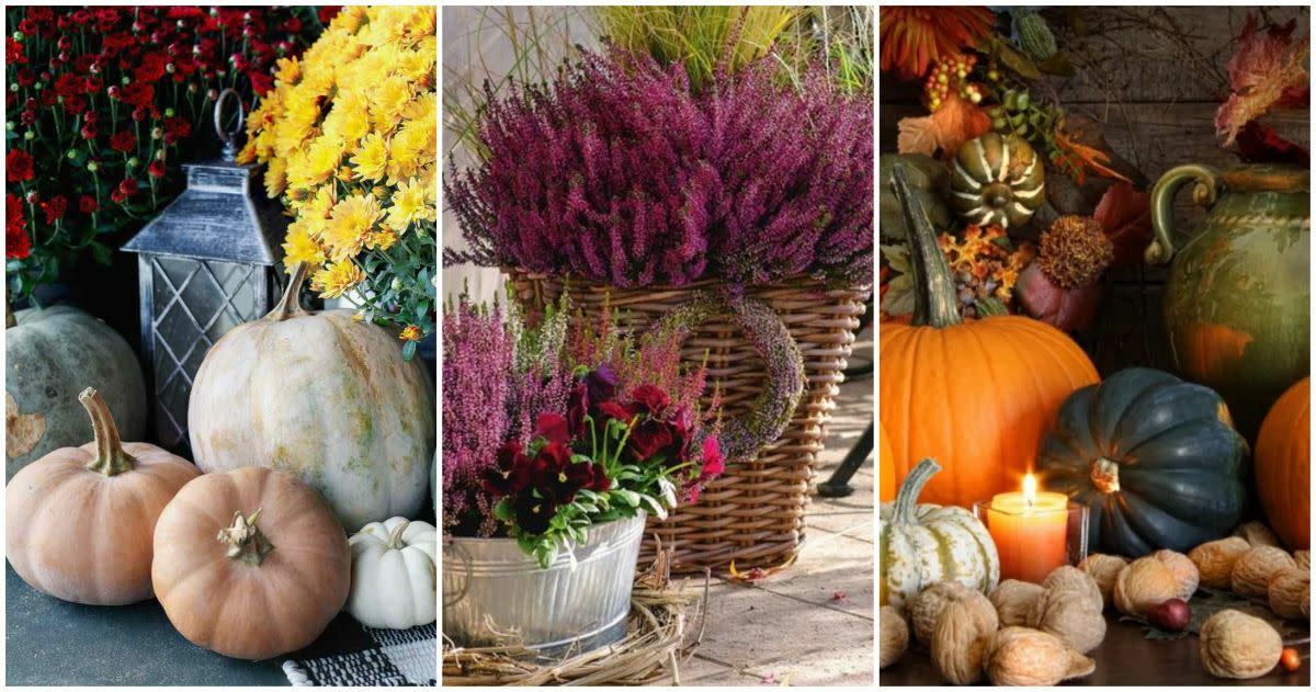 Quick Autumn Garden Ideas for Thanksgiving Day - HubPages