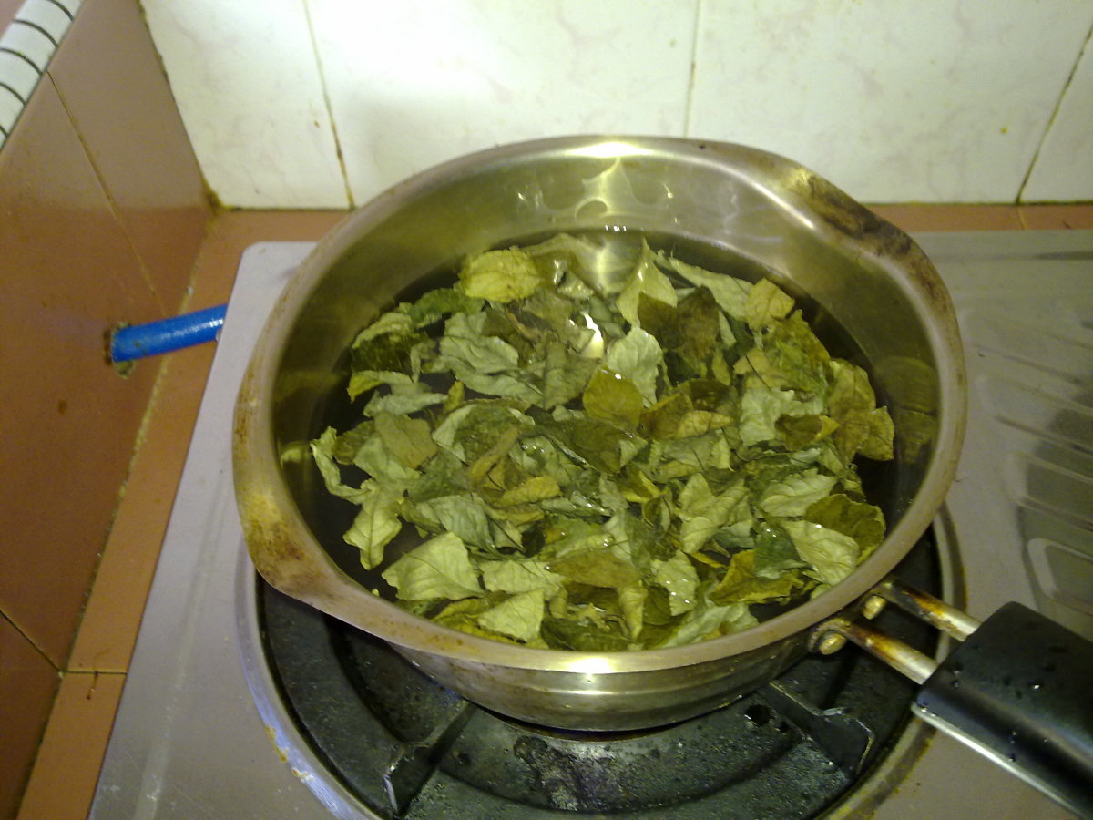How to Brew Teas : 4 Methods - HubPages
