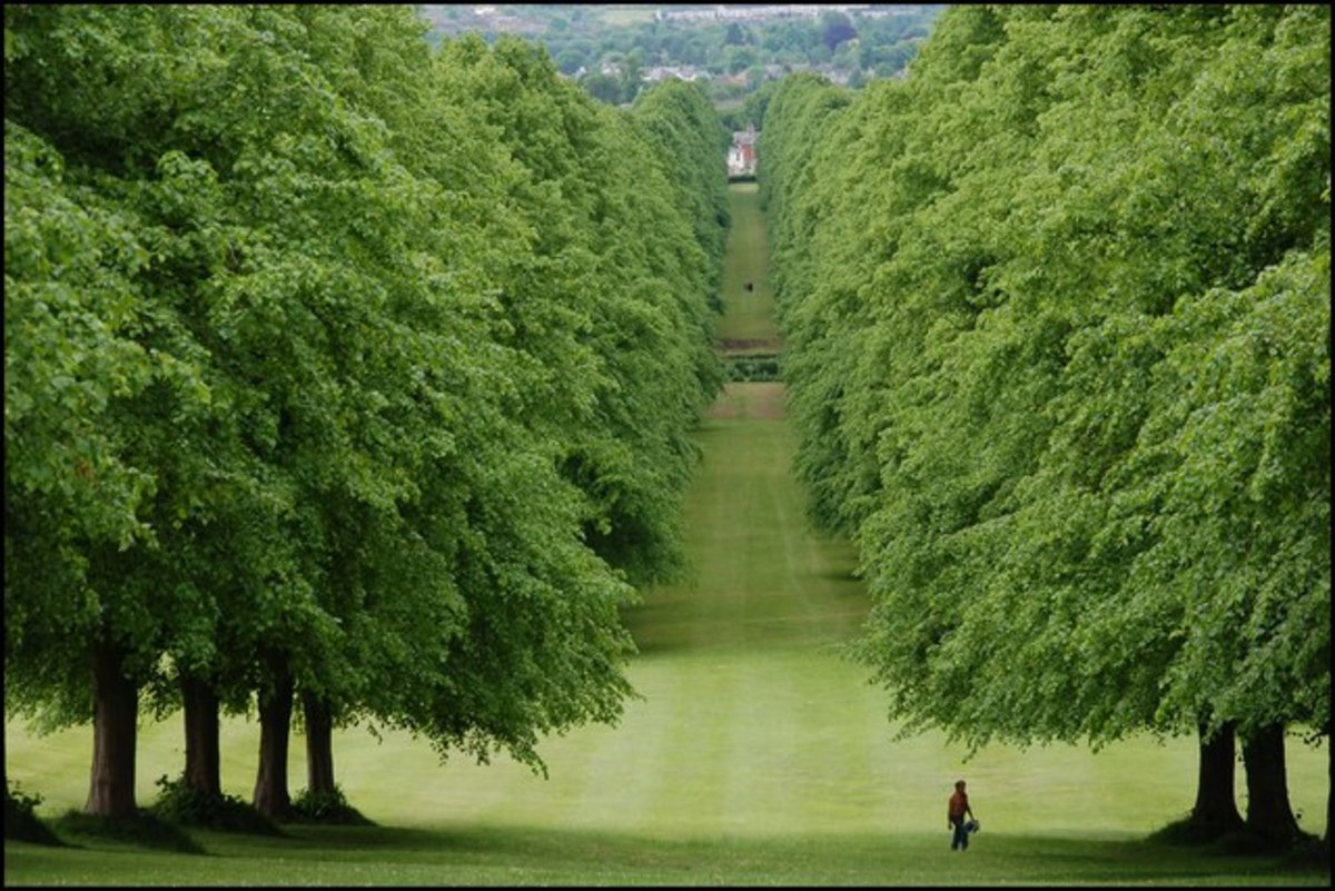 Visiting the Stormont Estate, Belfast, Northern Ireland: The Extensive ...
