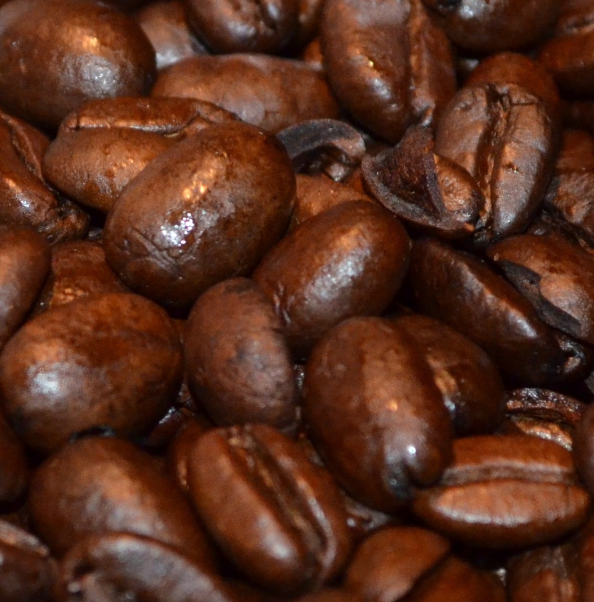 6 Must-Visit Coffee Shops and Cafés in Rhode Island - Delishably