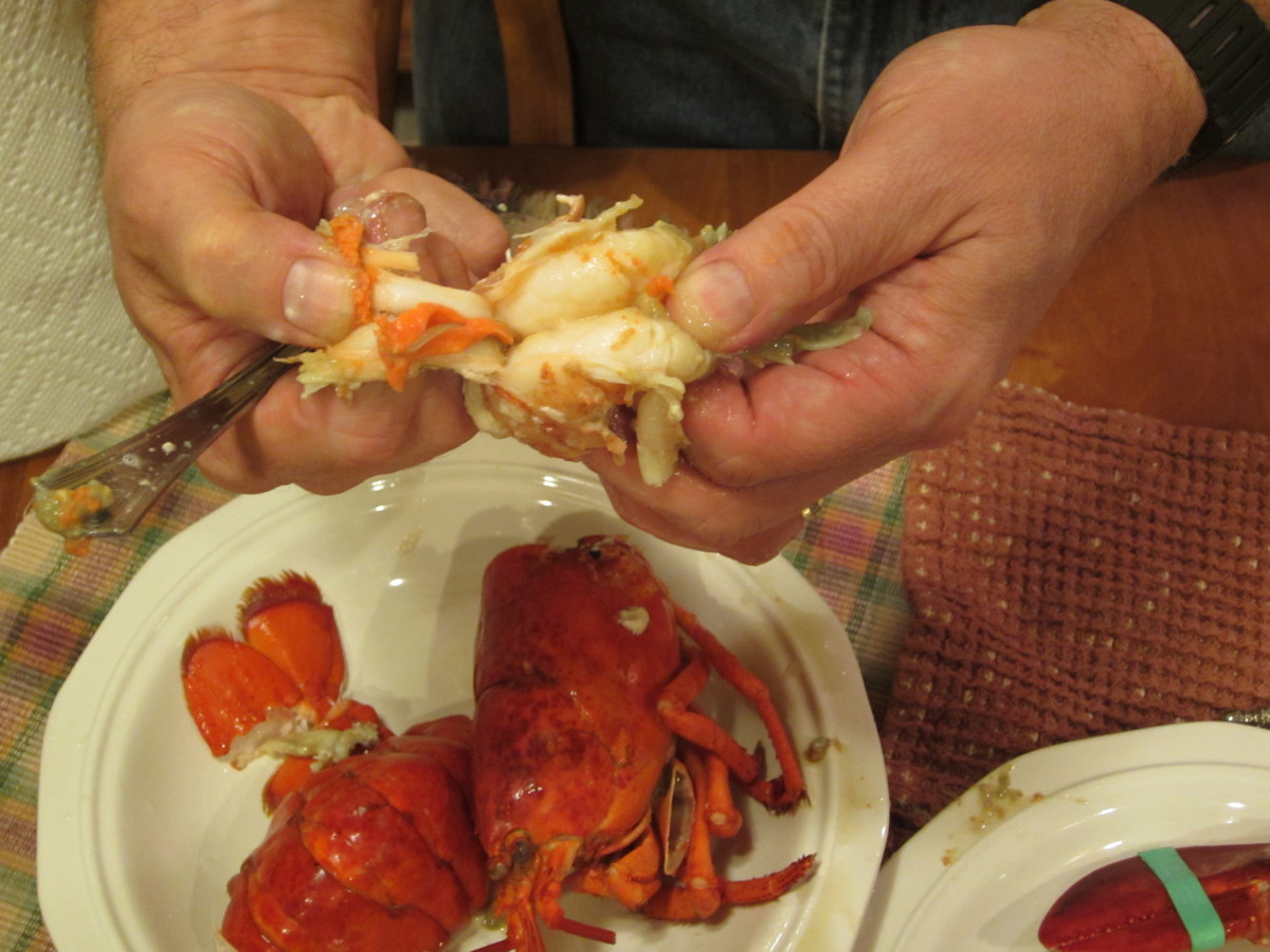 How to Shell a Whole Maine Lobster - HubPages