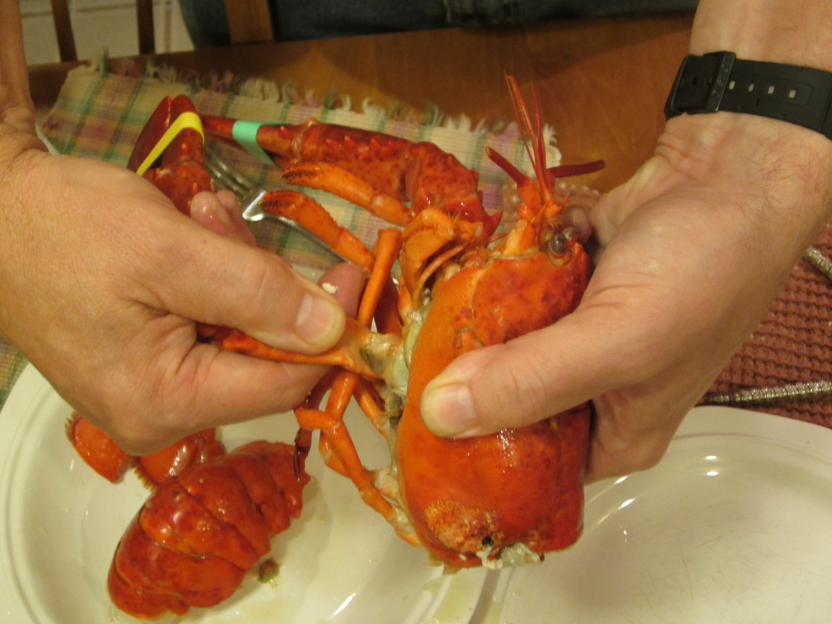 How to Shell a Whole Maine Lobster - HubPages