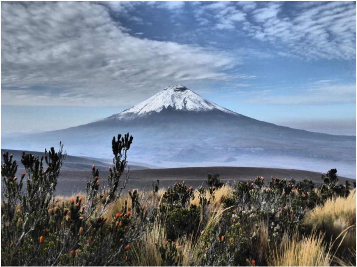 The 8 Largest Volcanoes in the World - HubPages