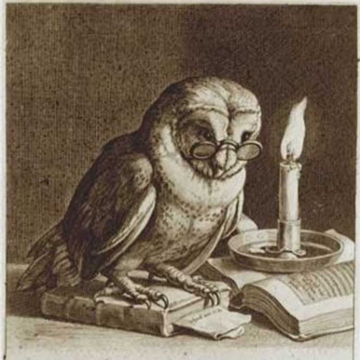 The Mysteries About Owls - HubPages