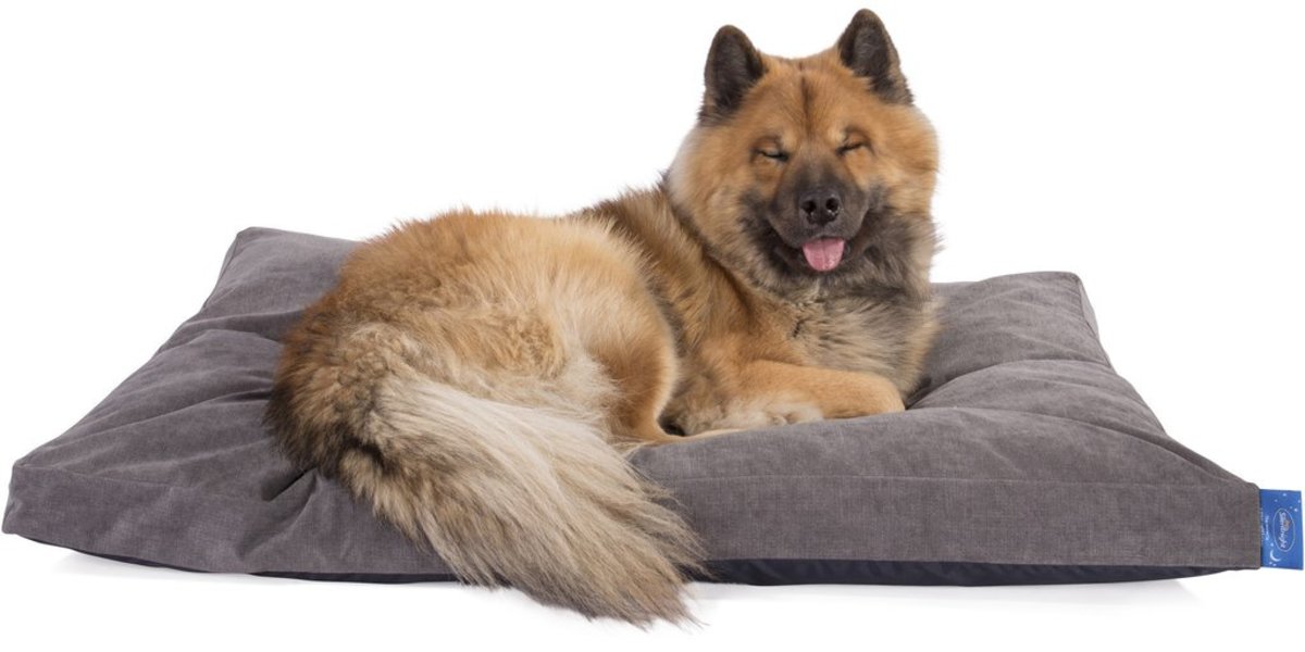 The Different Types of Dog Beds - HubPages