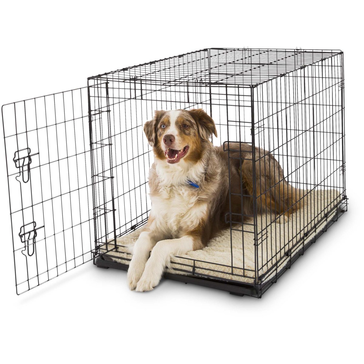 The Different Types of Dog Beds - HubPages