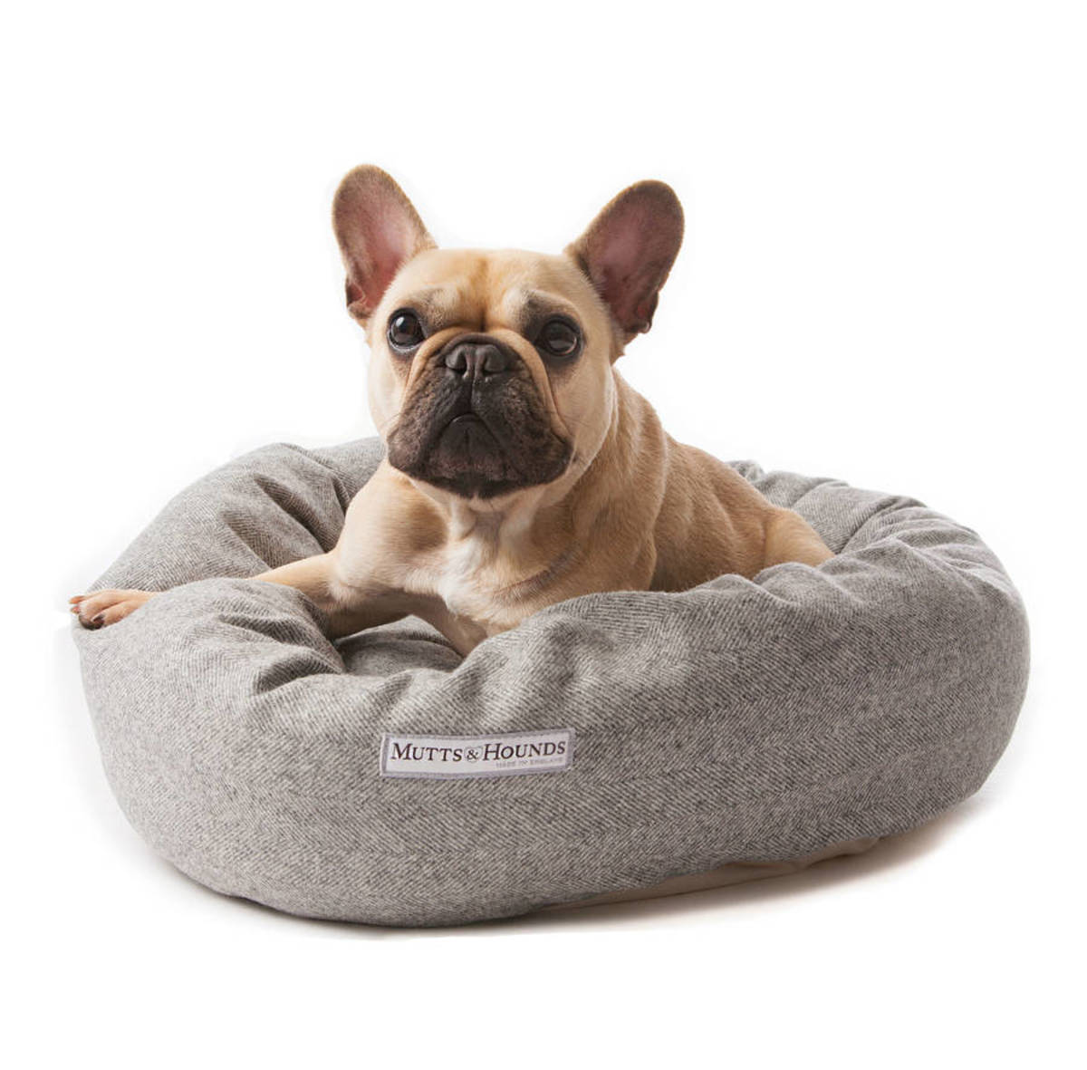 The Different Types of Dog Beds - HubPages
