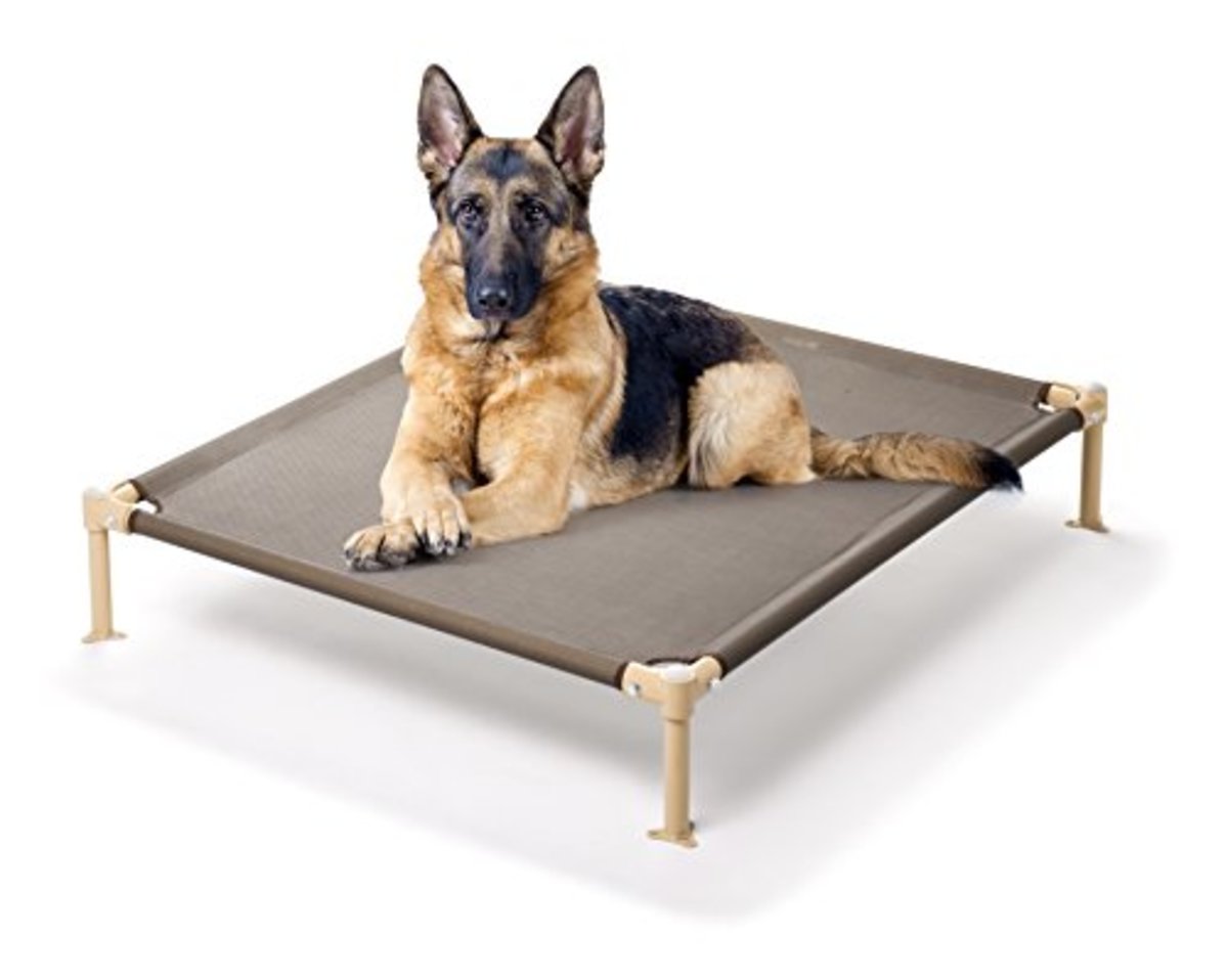 The Different Types of Dog Beds - HubPages