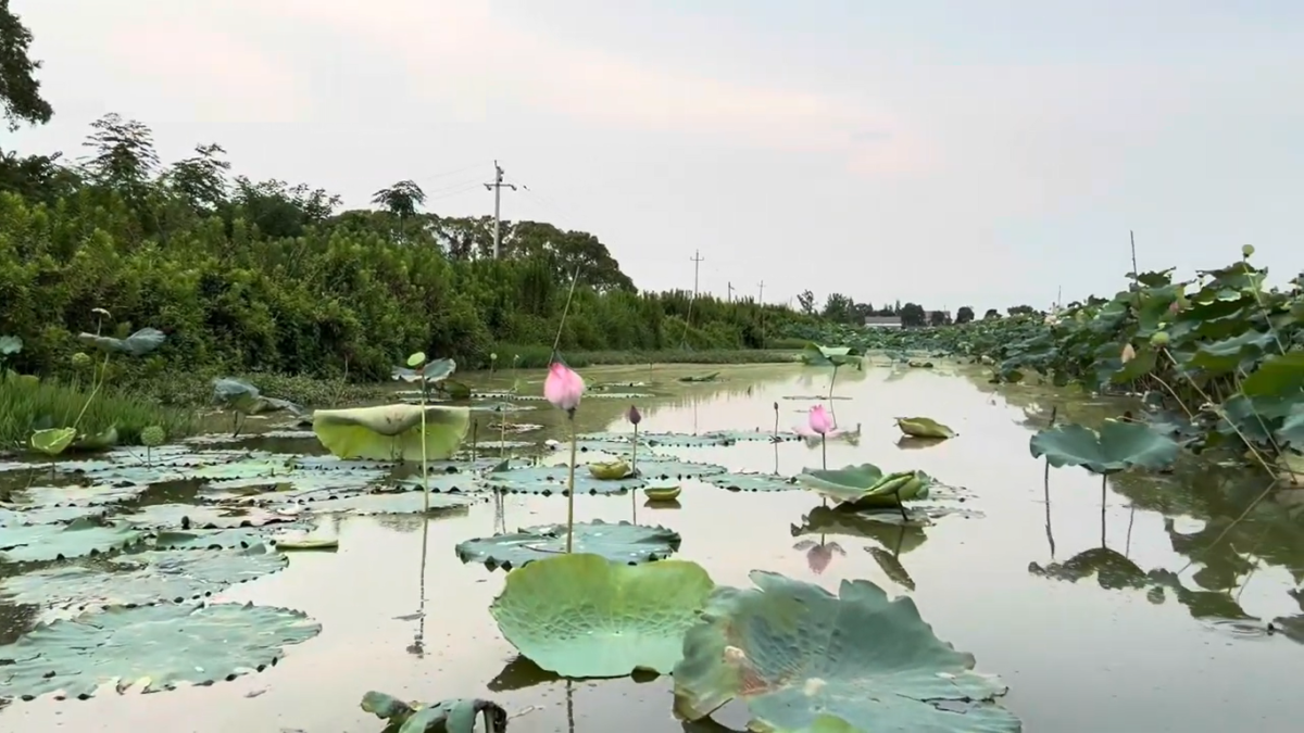 China Travel Guide: Changsha and the Hunan's Rural Wonders - HubPages