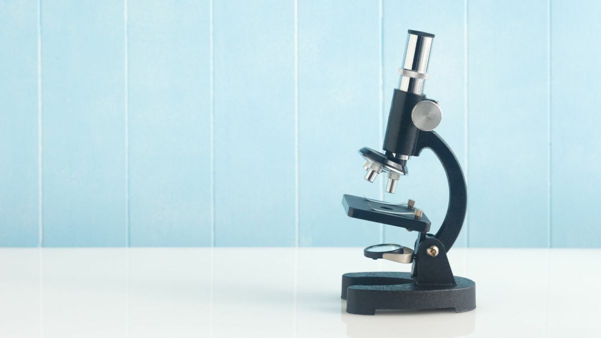 Choosing a Microscope for Children: Gateway to a Hidden World - Owlcation