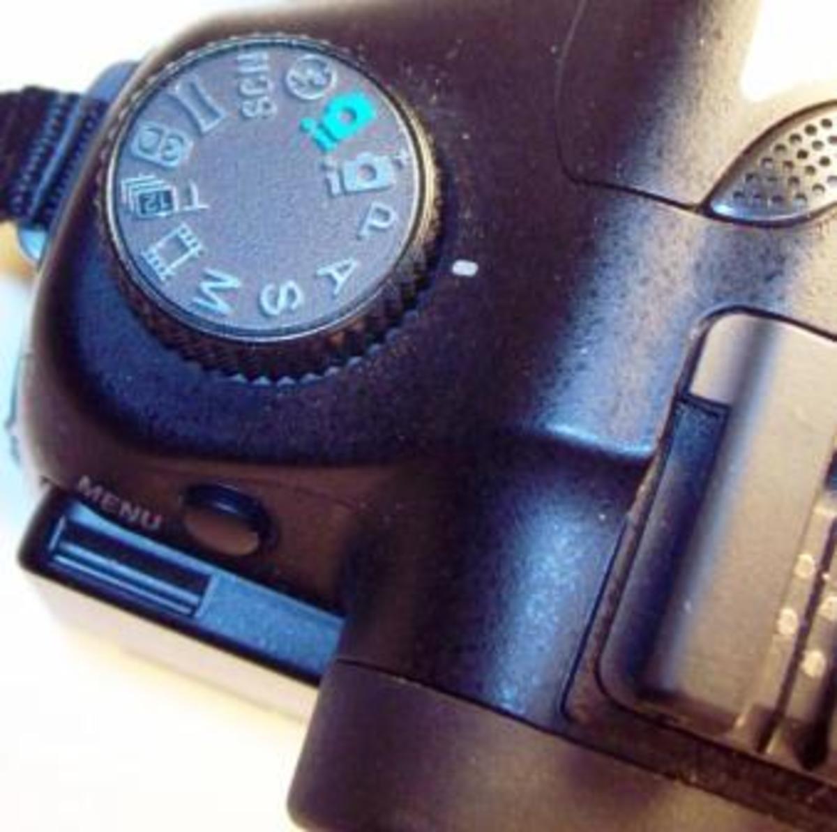 Selective Coloring Using a DSLR Camera or GIMP - HubPages