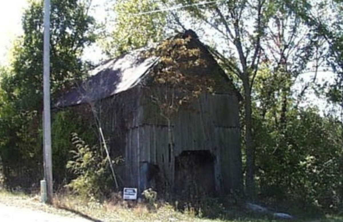 Morgan Violi: Decades-Old Murder Case Haunts a Kentucky Community - The ...