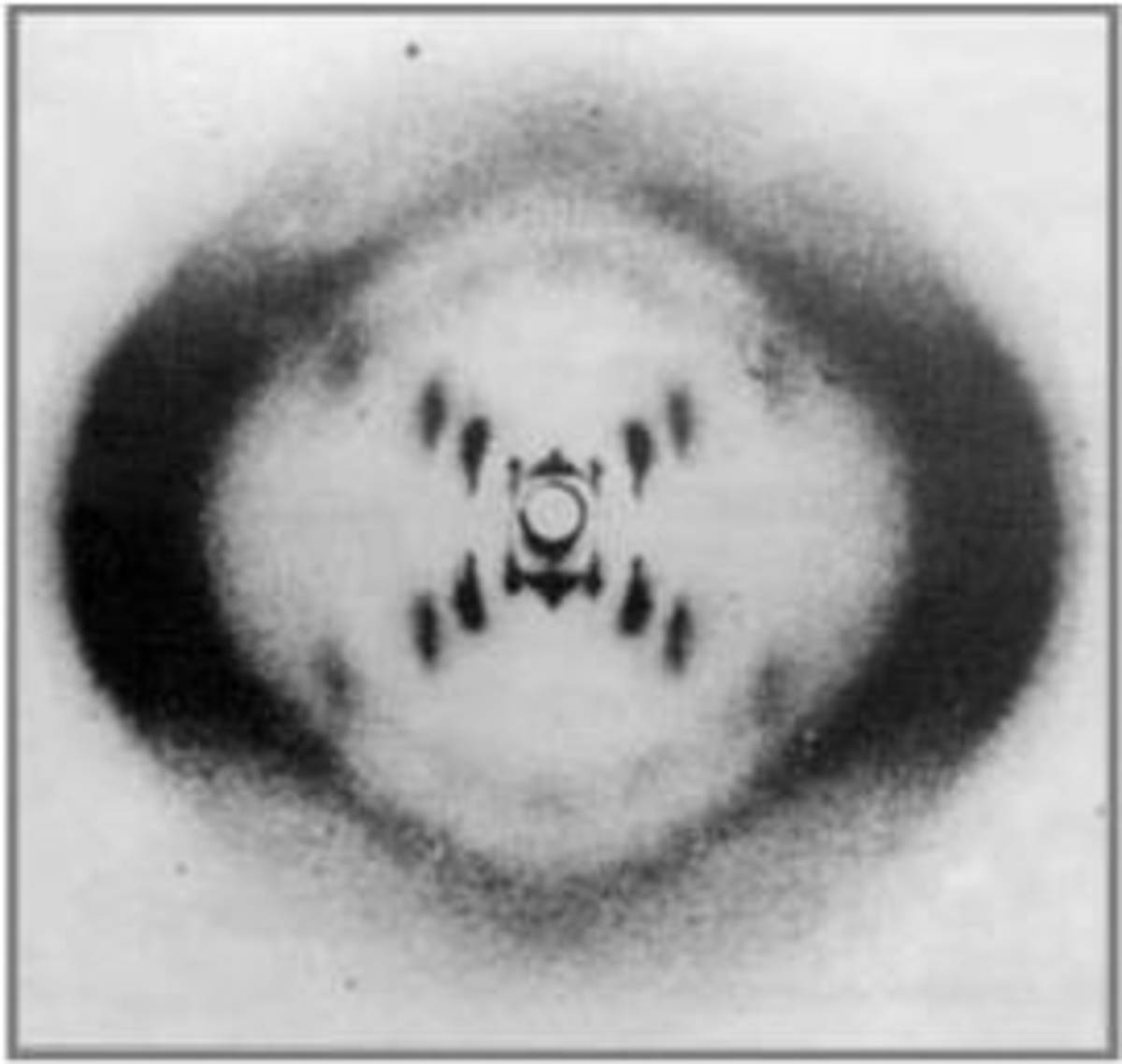 Notes on DNA Structure, Chargaff’s rule, Bonds in DNA and Different ...
