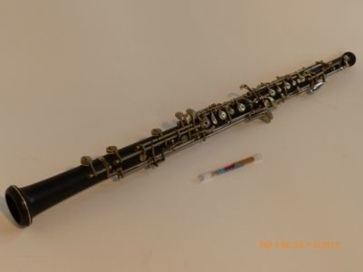 Learning to Play a Musical Instrument-the Bassoon the Clown of the ...