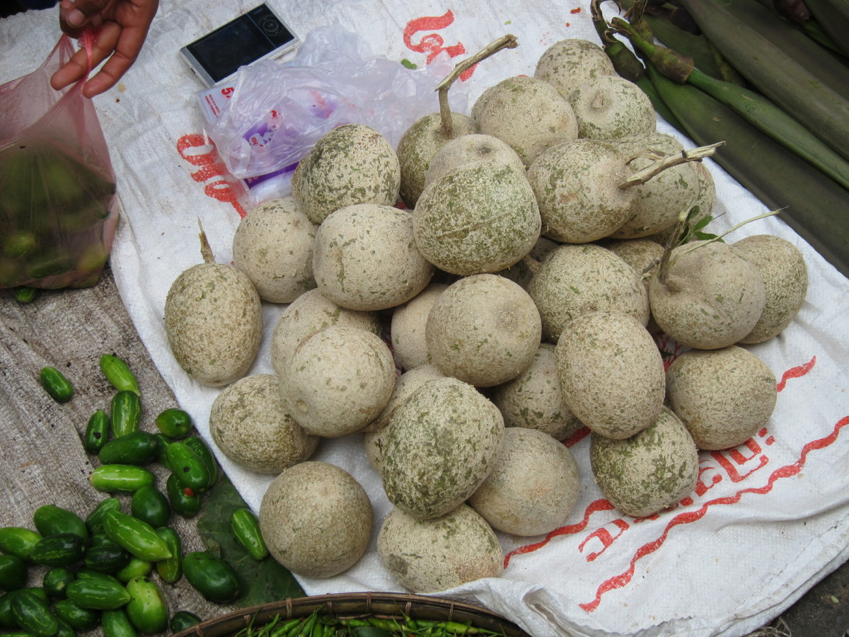 5 Foods to Help Relieve Ulcerative Colitis Symptoms Naturally - HubPages