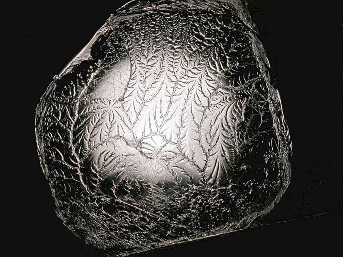 Fractal Patterns and the Beauty of Nature - Owlcation