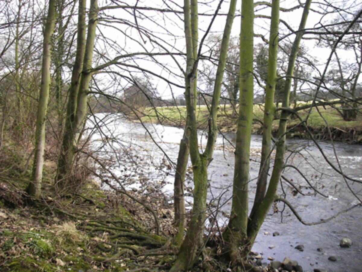 Travel North - 2: Swaledale Circuit - Catterick Village to Tan Hill Inn ...