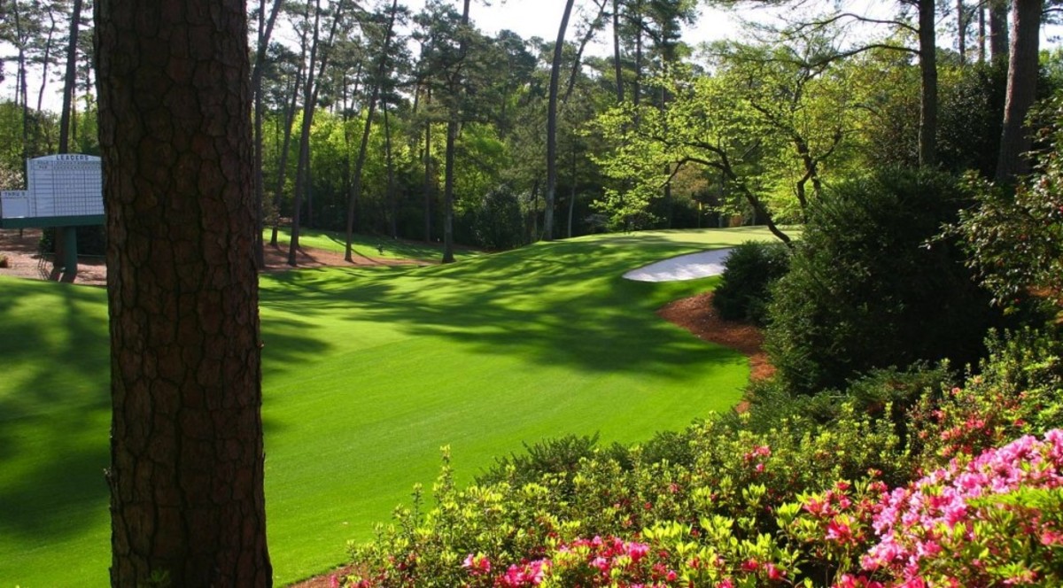 Double Bogey: The Disappearing Public Golf Course - HubPages