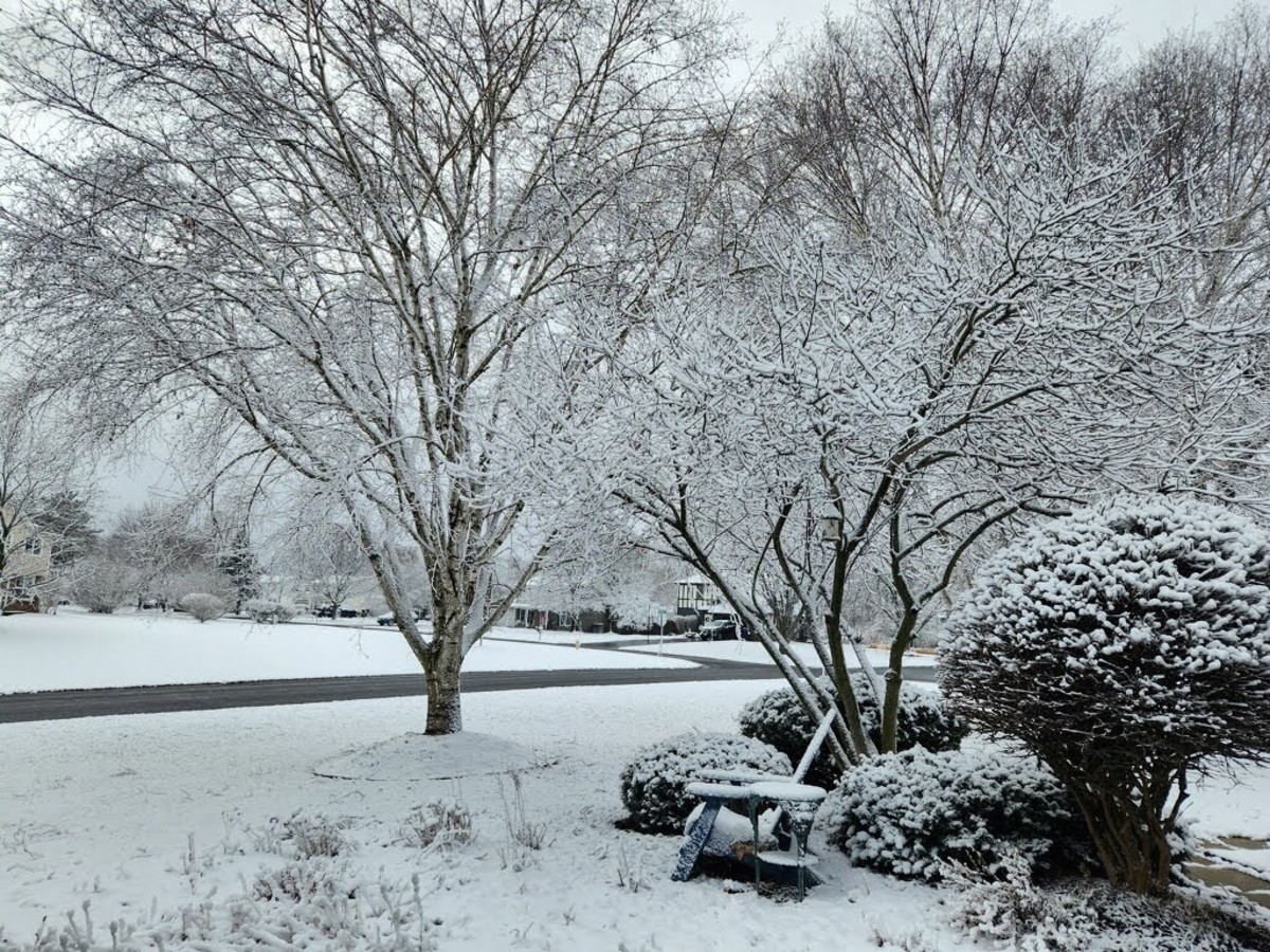 ~ The Rise And Close Of 2023'~ - HubPages