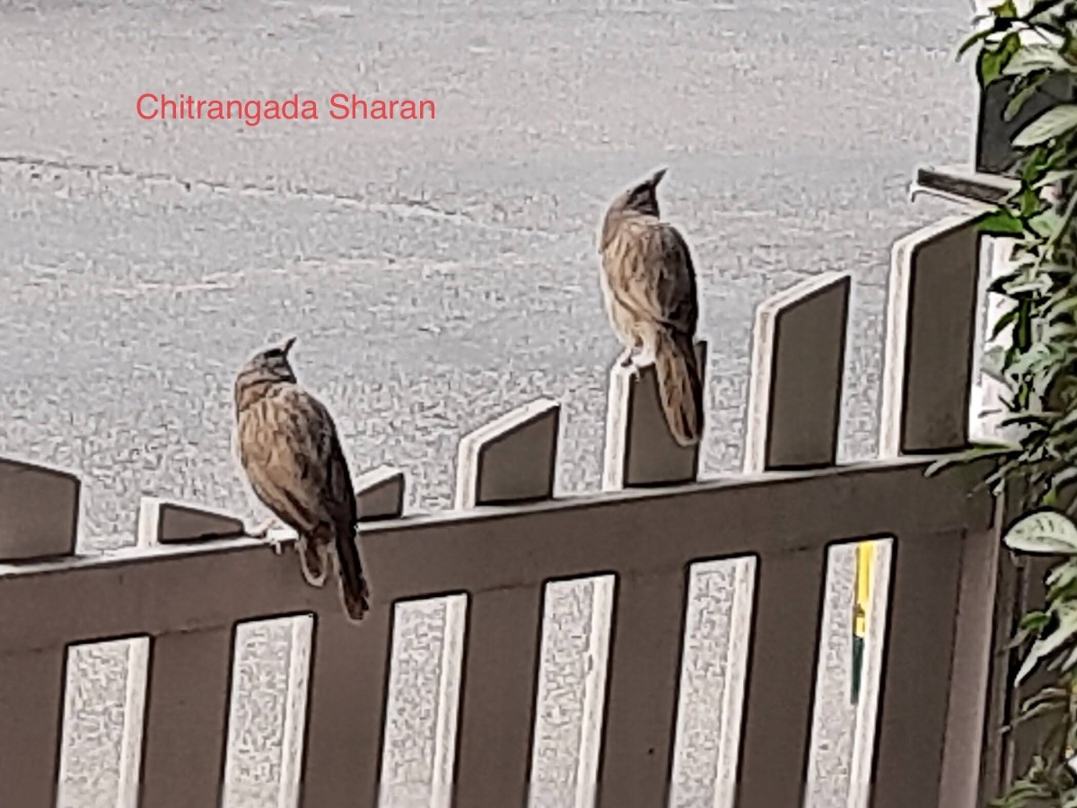 15 Good Reasons For Writing Poetry - HubPages