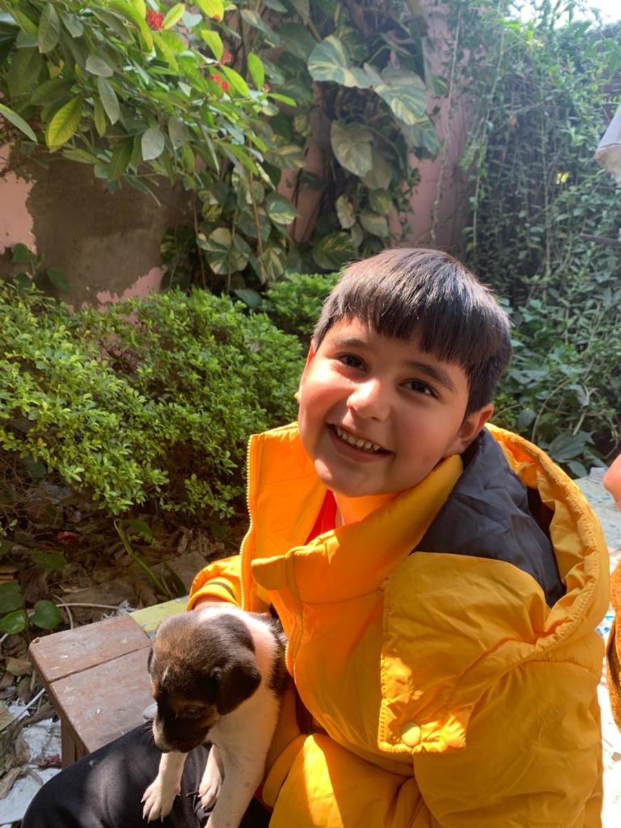 10 Most Popular Indian Pariah Dog (Desi Kutta) Mix Dog Breeds - HubPages