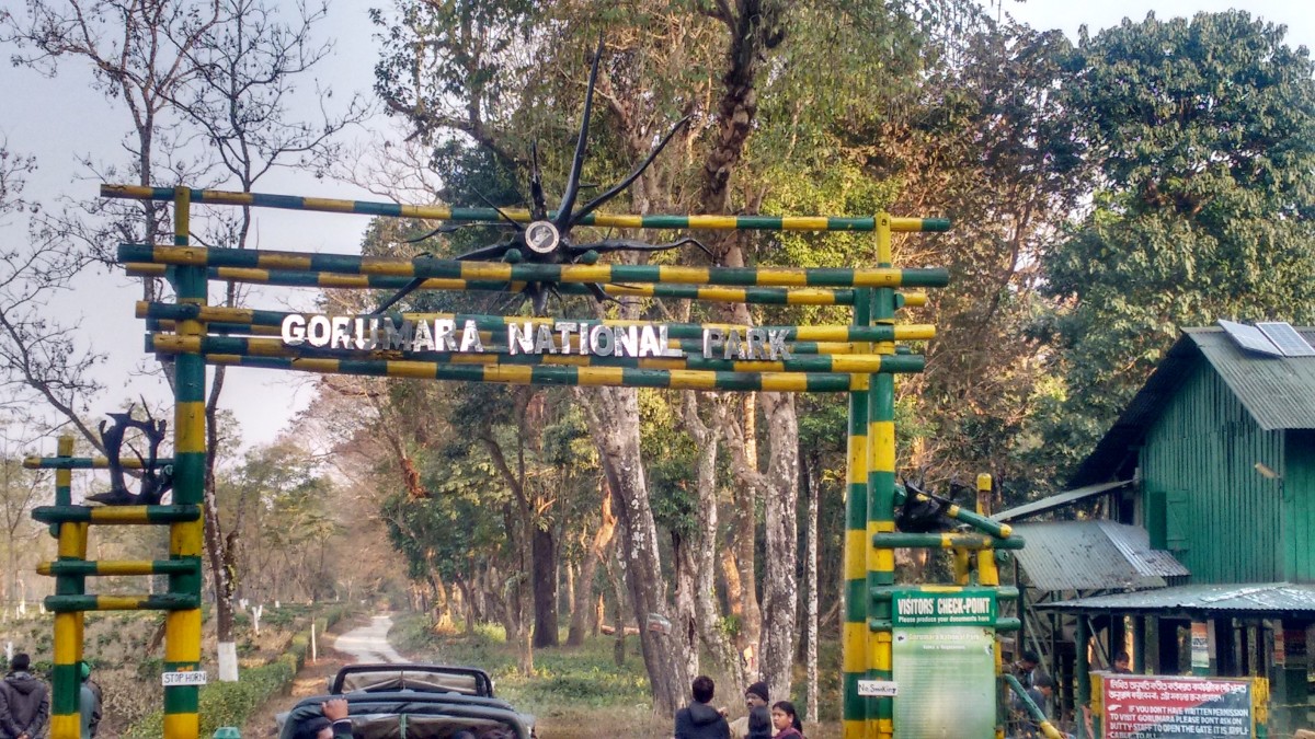 Gorumara National Park—a Biodiversity Hotspot—Pristine Nature at Its ...