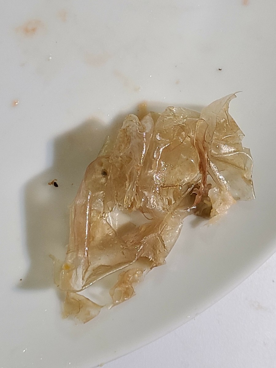 Impossible vs. Beyond Vegan Sausages: An In-Depth Comparison - Delishably