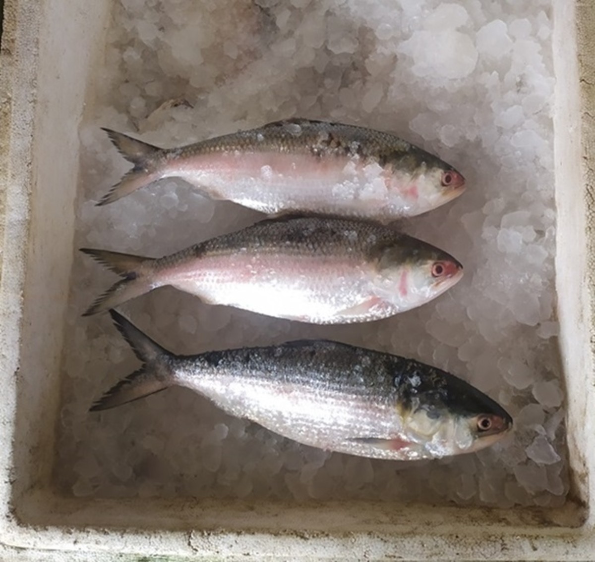 A Visit to the City Outskirts - HubPages