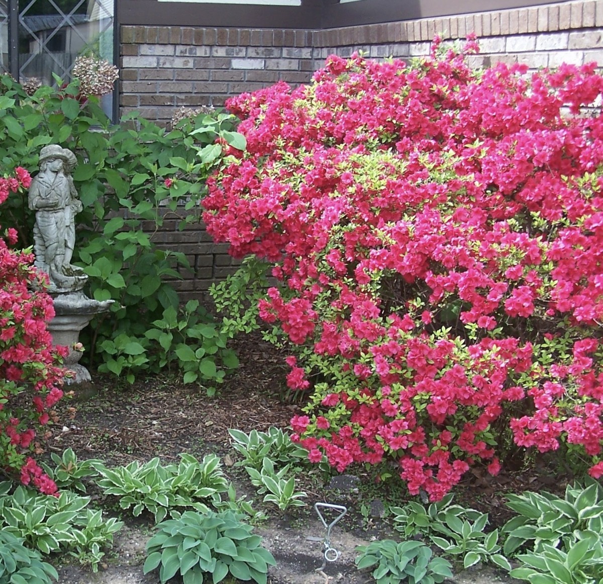 The New USDA Hardiness Zone Map Is Out - HubPages