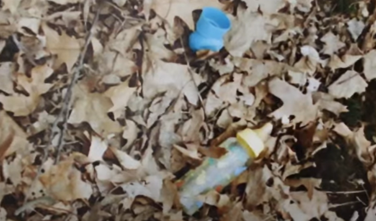 Patricia Rorrer: Murderer or Railroaded Innocent Woman? - HubPages