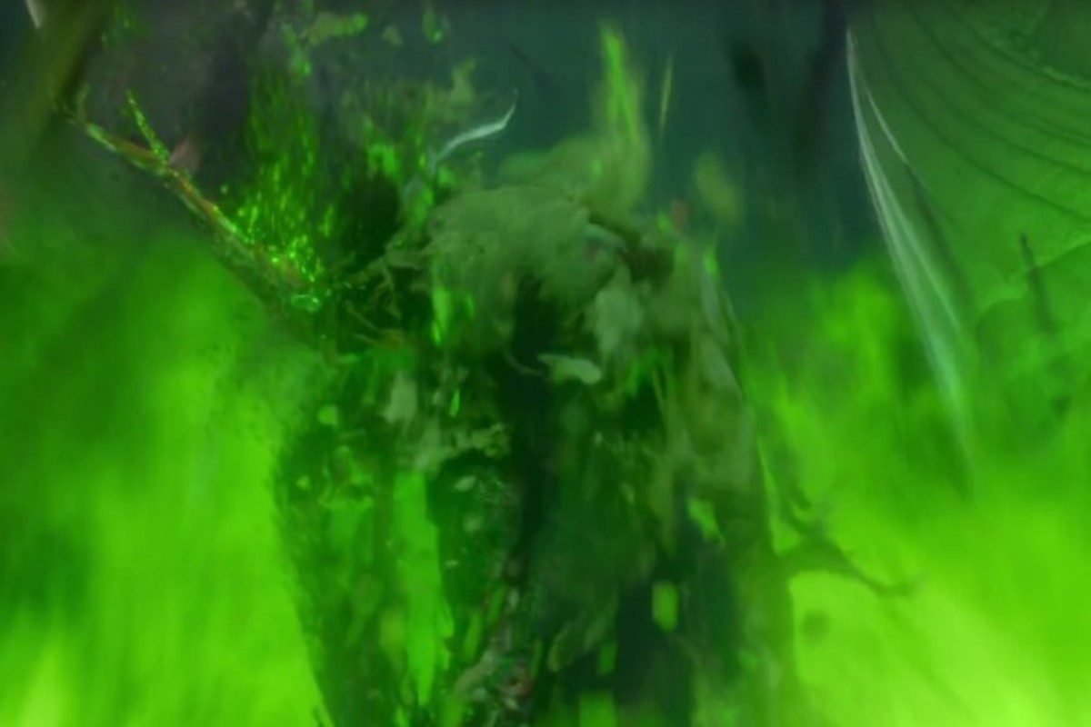 The High Sparrow: How he is Uncelebrated and Still a Great Character ...