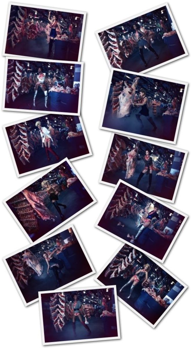 America's Next Top Model - HubPages