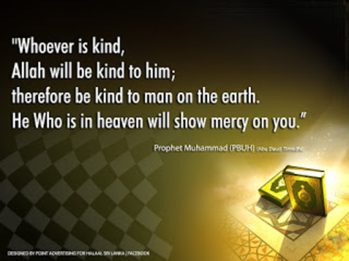 The Perfect Teacher - HubPages