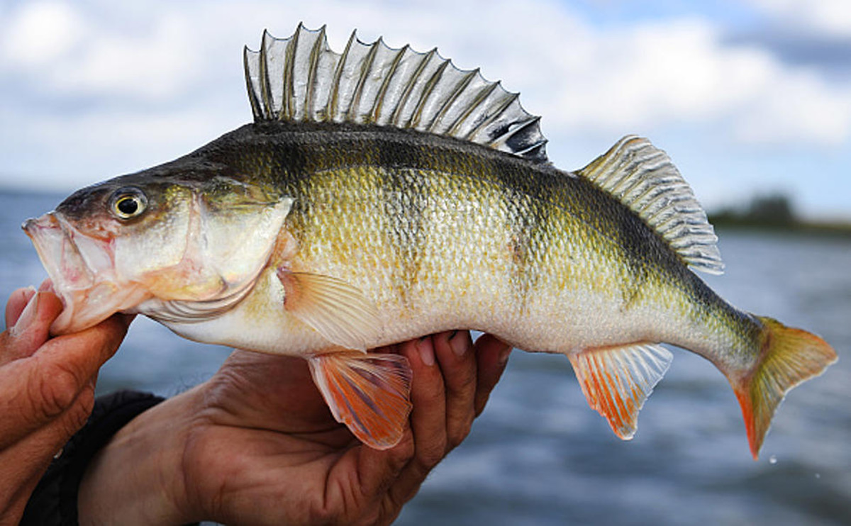 A Tour of Lake Michigan in Photos and Fascinating Facts (Part I) - HubPages