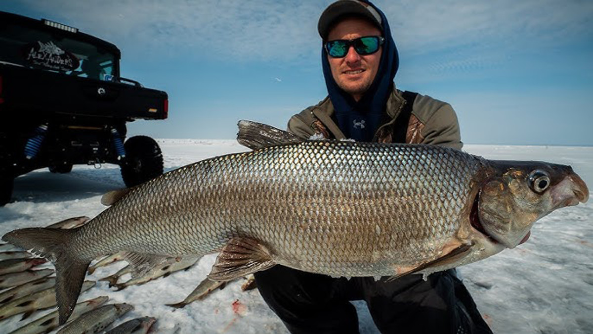 A Tour of Lake Michigan in Photos and Fascinating Facts (Part I) - HubPages