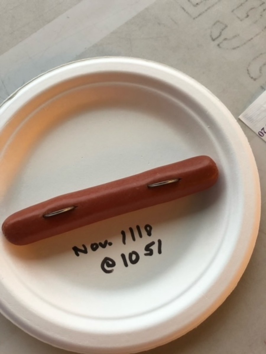 5 Gifts That Are Trouble in Homes with Family Dogs and Toddlers - HubPages