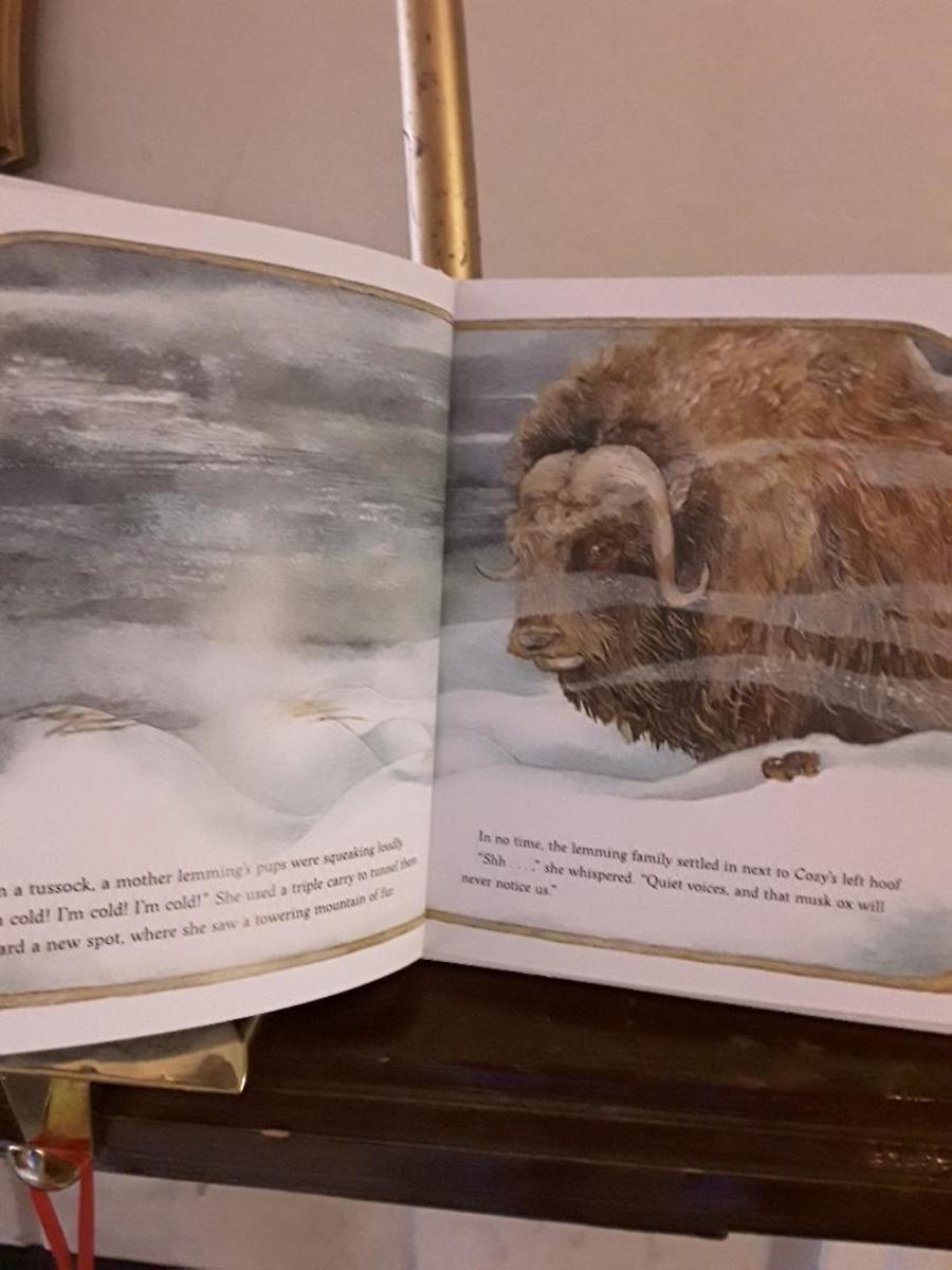 Winter Collection in Gift Box for the Holiday Season From Notable ...