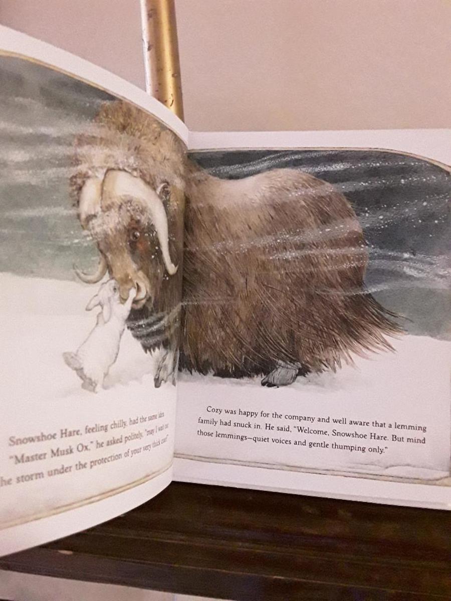 Winter Collection in Gift Box for the Holiday Season From Notable ...