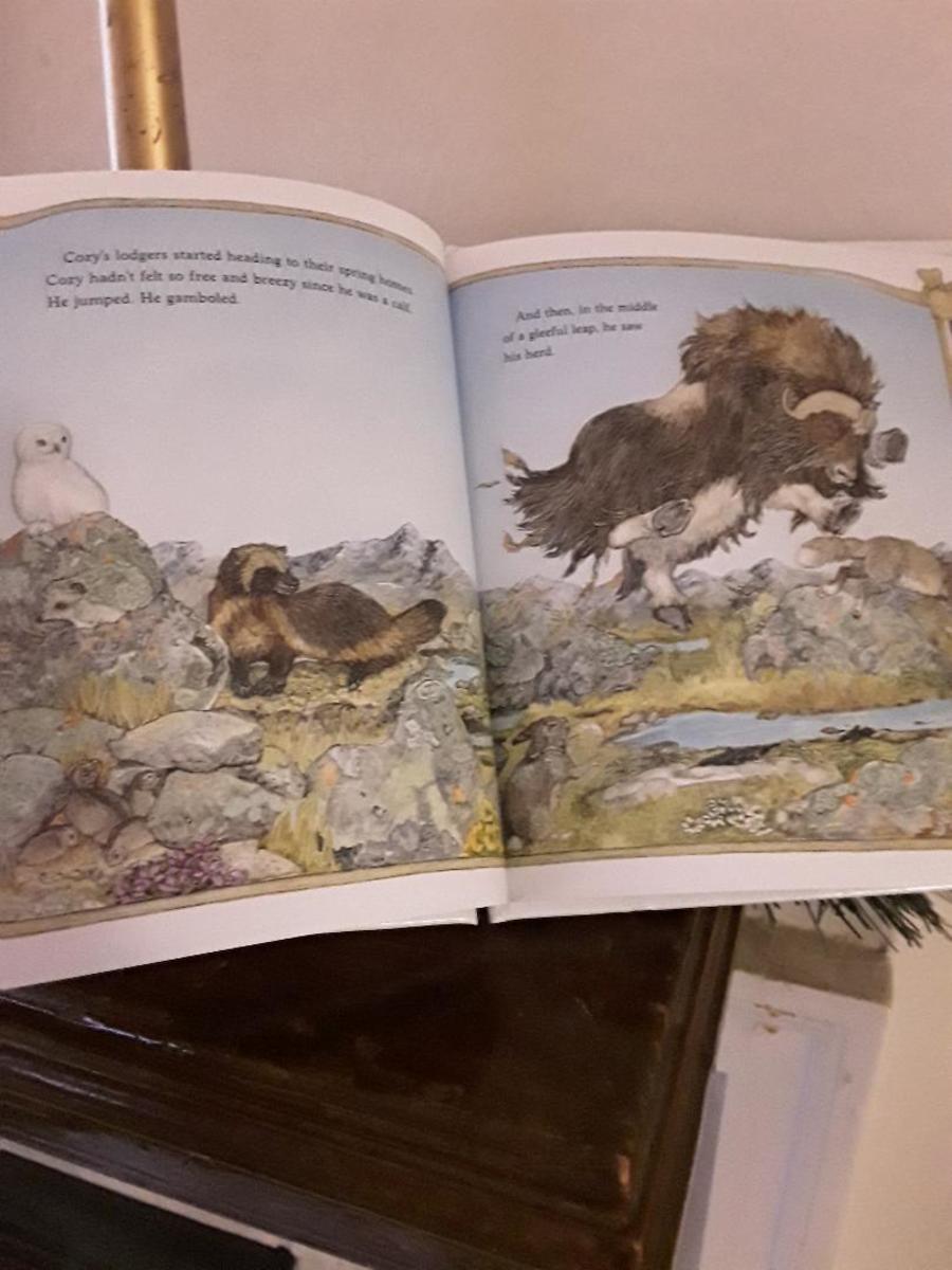 Winter Collection in Gift Box for the Holiday Season From Notable ...