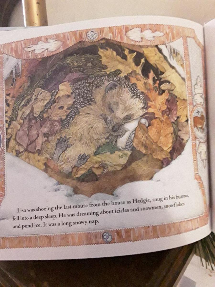 Winter Collection in Gift Box for the Holiday Season From Notable ...