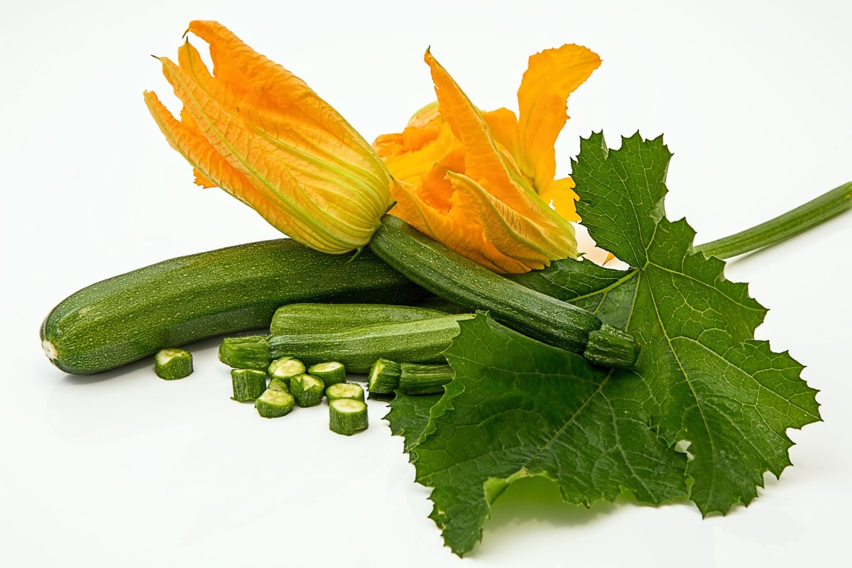 20 Vegetable Names in French and English - HubPages