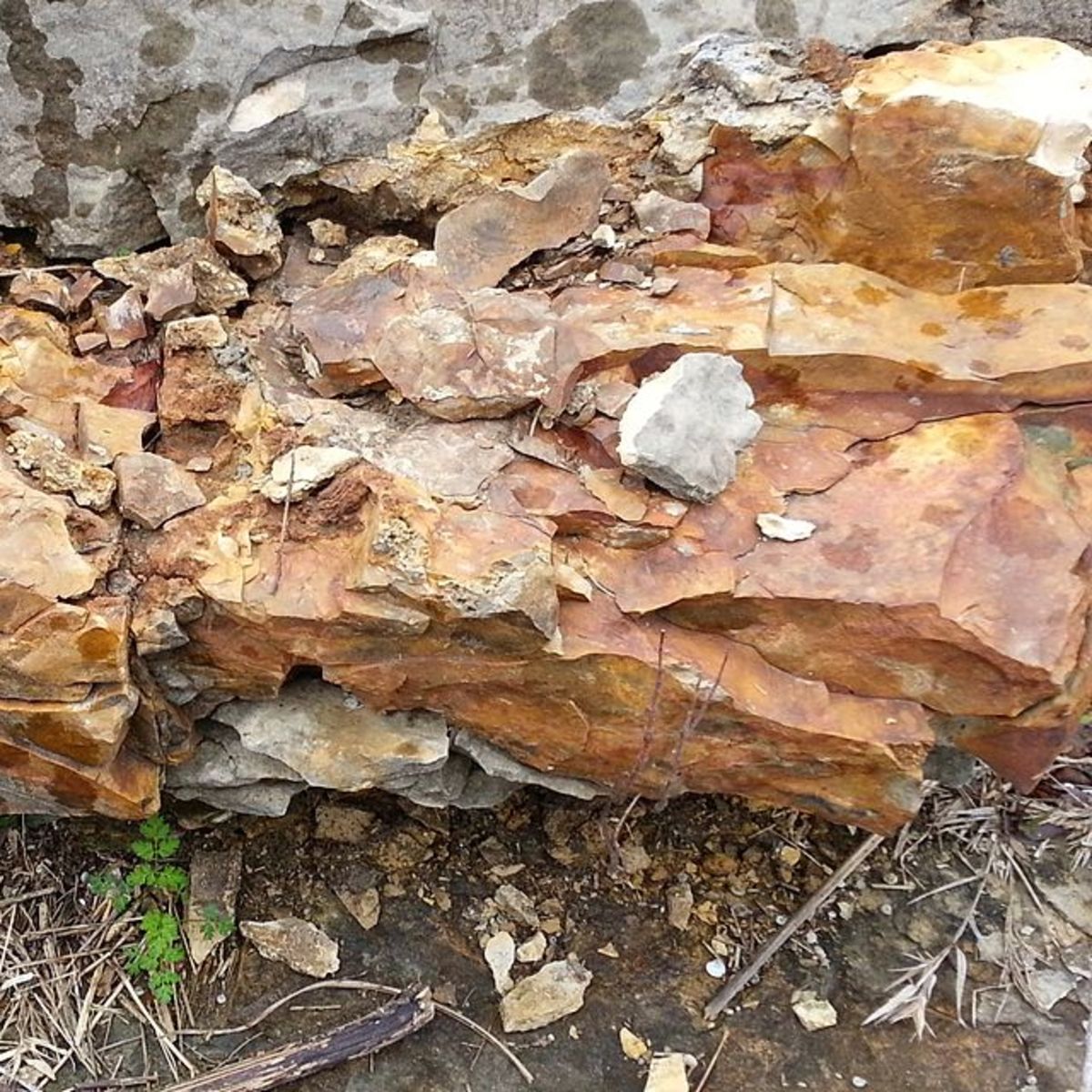 "Preserving Geological Wonders: The Rocks, Minerals, and Conservation ...