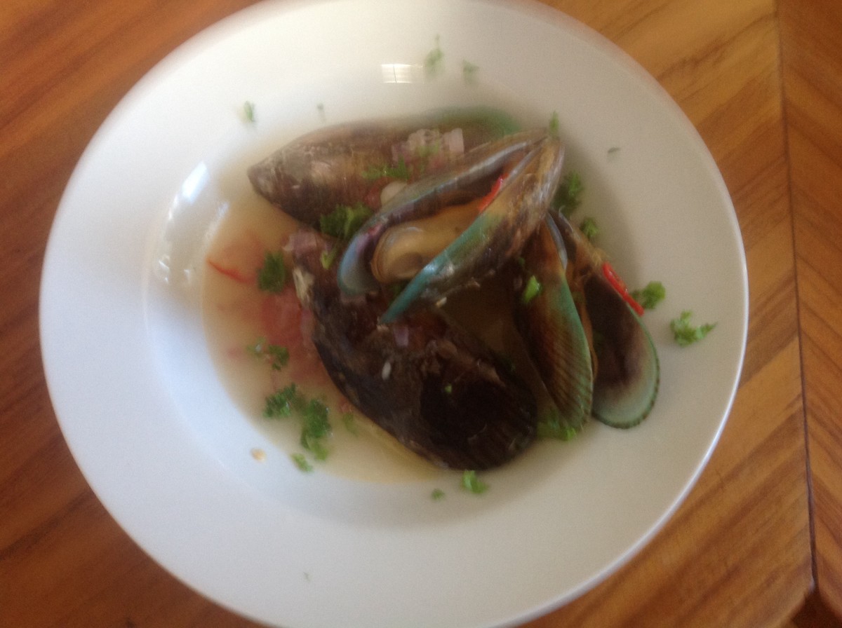 Mussel Starters - HubPages