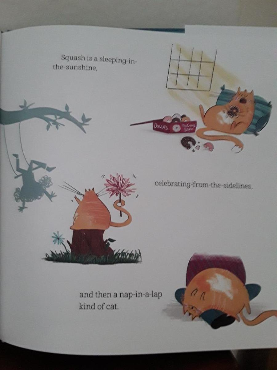 Two Best Friends are Better Than One for Squash the Cat in Adorable ...