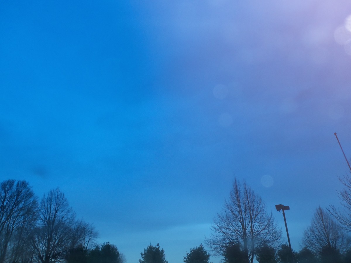 As The Seasons Change, A Tree's Point Of View - HubPages