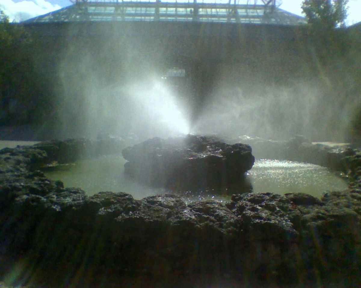 An Autumn Stroll Through New England Botanical Garden at Tower Hill ...