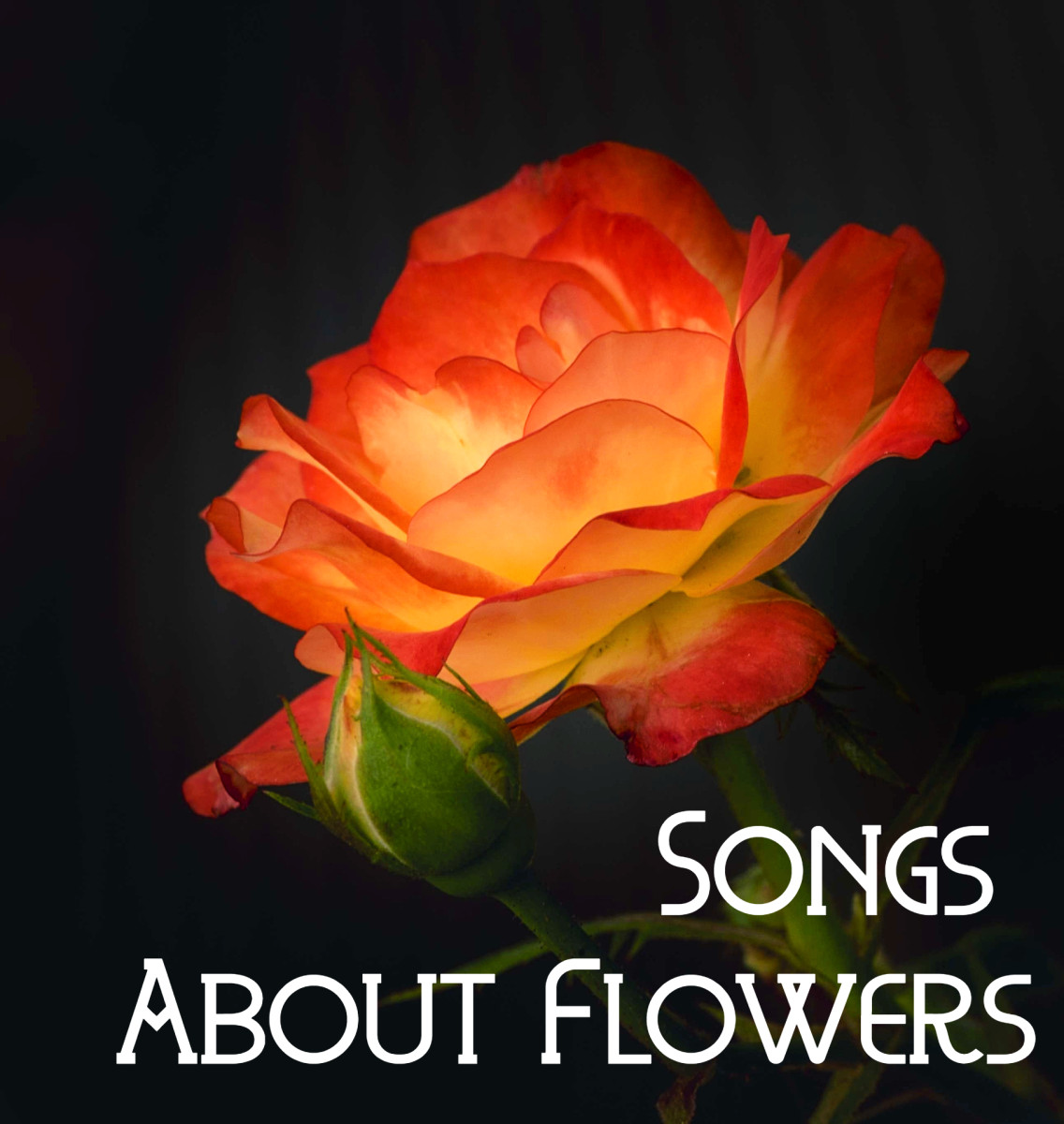 92 Songs About Flowers - HubPages