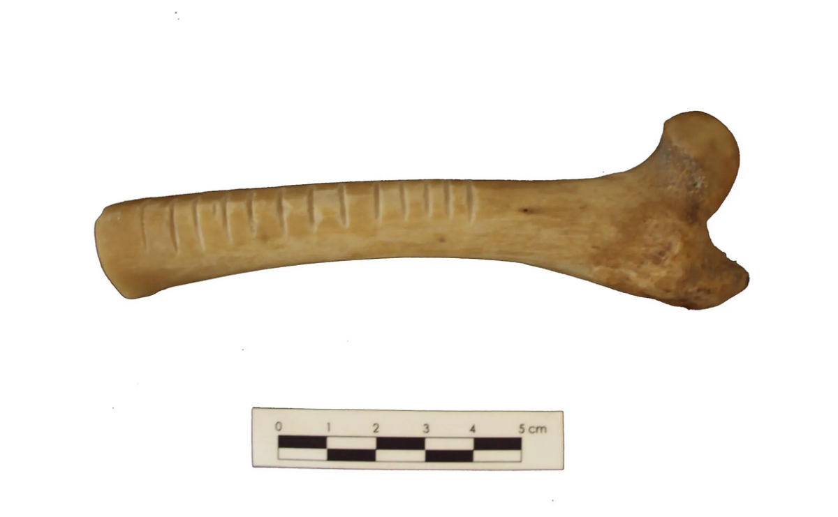 Bones of the Ancestors: Modified Human Remains in Prehistoric South ...