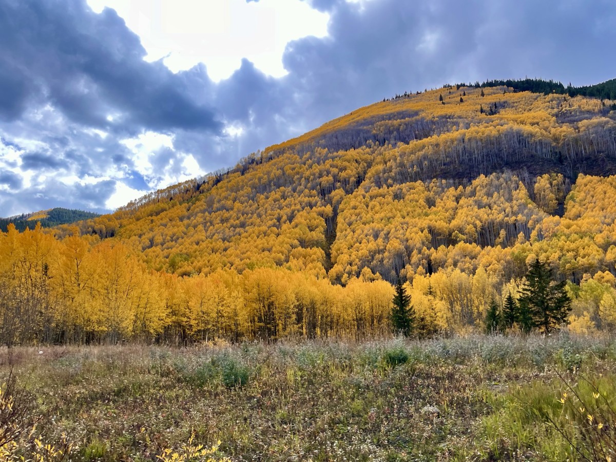 4 Easy Walks and Hikes Near Aspen, Colorado: Spring, Summer, and ...