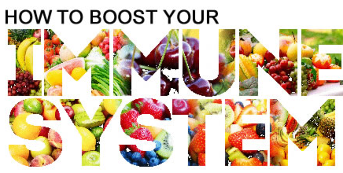 How to Build a Stronger Immune System - HubPages